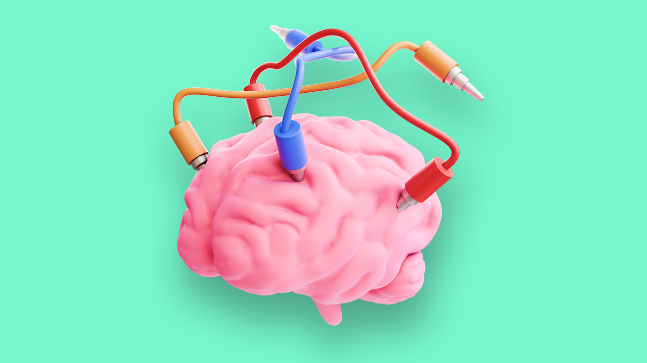 Neuroplasticity: Unlock the Power To Rewire Your Brain